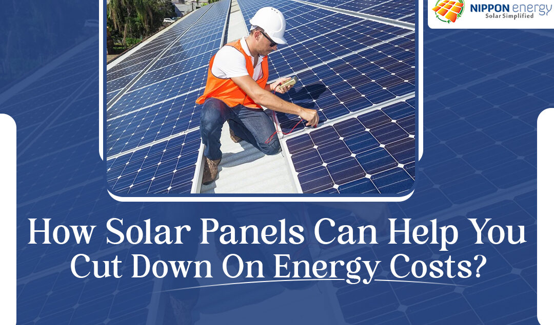 How Solar Panels Can Help You Cut Down On Energy Costs?